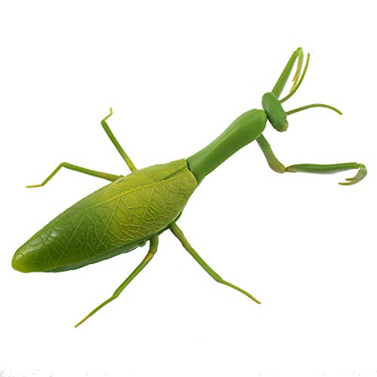 Tipmant RC Praying Mantis Toy IR Remote Control Animal Fake Car Vehicle Electric for Kids Birthday