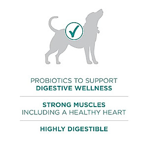 Purina One Plus Digestive Health Formula Dry Dog Food Natural with Added Vitamins, Minerals and Nutrients - (Pack of 4) 8 lb. Bags