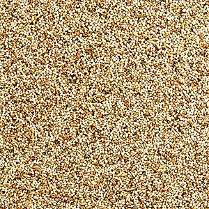 Wild Harvest Daily Blend Nutrition Diet for Parakeet, Canary and Finch 10 Pounds