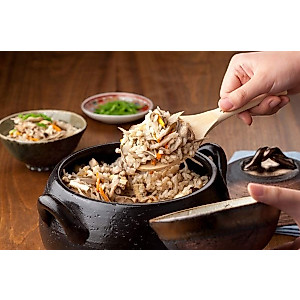 Japanese Donabe Rice Cooker with Non-Stick Coating - Made in Mie, Japan - 3 Go, Banko-Yaki