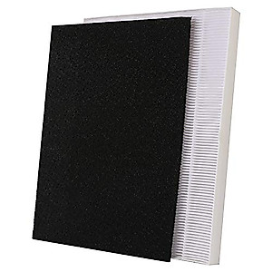 Nispira C545 HEPA Filter Replacement Ture HPEA For Winix C545 Air Purifier, P150, B151, 9300, Part Filter S 1712-0096-00 & 2522-0058-00, 113050 1 Set