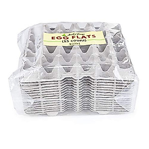 Josh's Frogs Egg Flats for Feeder Insect Colonies (15 Count)