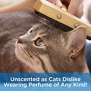 Pet MasterMind Fab Fur Kitty Cat Detangler Spray for Matted Hair | Premium, Natural, Unscented 8oz