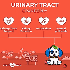 Cranberry for Dogs - 300 Chewable Tablets - Urinary Tract Support, Bladder Support for Dogs, Dog UTI, Bladder Stones, Dog Incontinence Support, Cranberry Supplement for Dogs