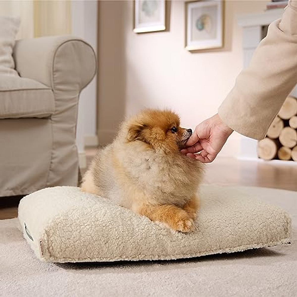 Lesure Dog Bed for Crate - Shredded Chopped Foam Dog Mat for Small Dogs, Pet Mattress with Waterproof Washable Faux Linen Cover, Beige