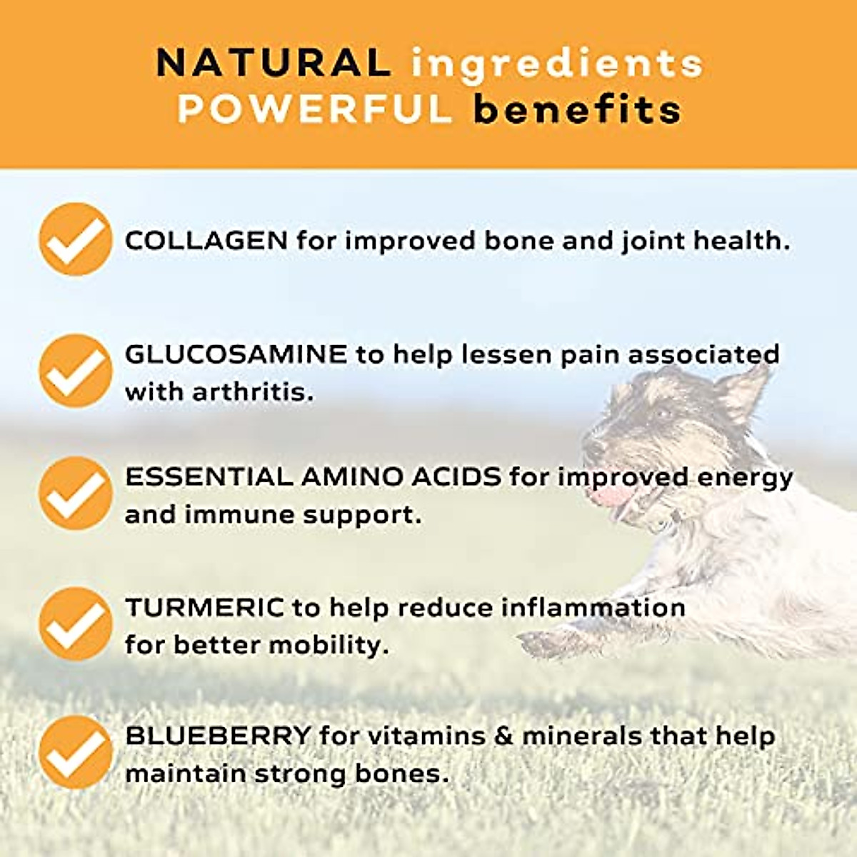 MYOS Canine Muscle & Mobility Chews – Natural Collagen & Glucosamine for Dogs - Bacon Flavor Joint Supplement for Muscle, Bone & Joint Support, 60 Count