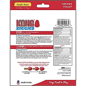 KONG - Classic and Ziggies - Dog Chew Toy with Dog Treats - for Small Dogs