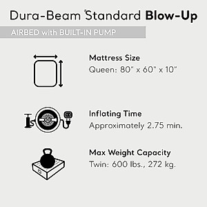 Intex 64149ED Dura-Beam Standard Pillow Rest Air Mattress: Fiber-Tech – Queen Size – Built-in Electric Pump – 10in Bed Height – 600lb Weight Capacity