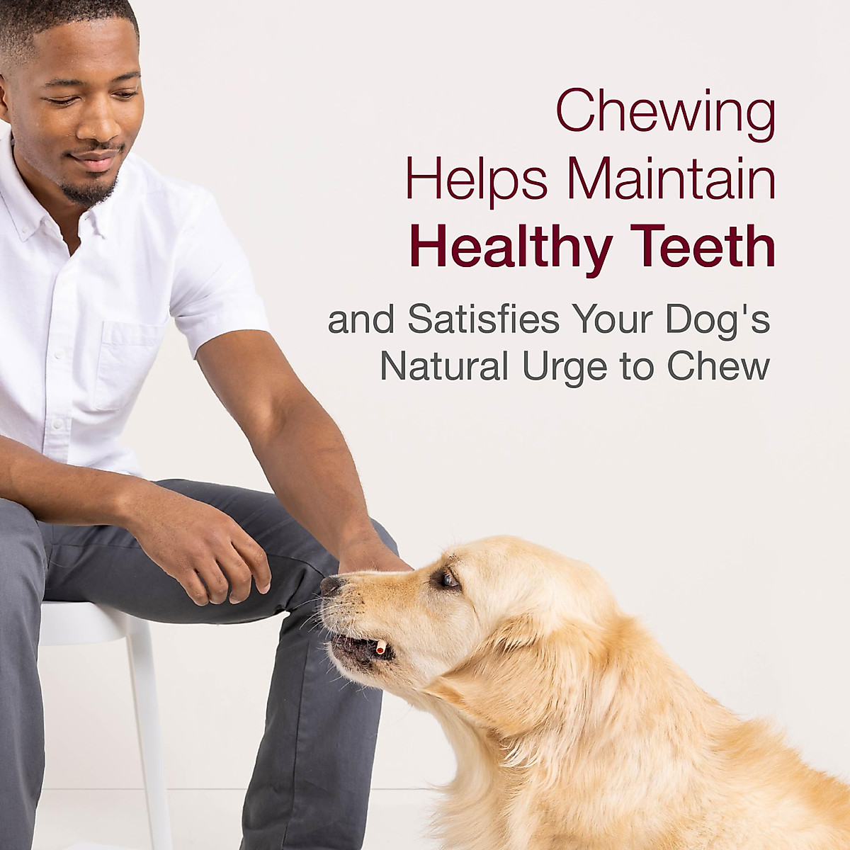 SmartBones SmartSticks, Treat Your Dog to a Rawhide-Free Chew Made With Real Chicken and Vegetables, 10 sticks