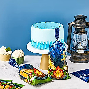 100 Pieces Camping Cellophane Treat Bags Camp out Goodie Candy Favor Bags Gift Bags with 100 Pieces Twist Ties for Camping Party Decorations Kids Birthday Party Baby Shower Supplies Gift Wrapping