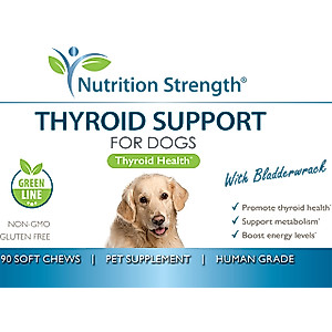 Nutrition Strength Thyroid Supplement for Dogs, Support for Hypothyroidism in Dogs with Organic Bladderwrack, Promotes Normal Function of Endocrine and Enzyme Systems, 90 Soft Chews