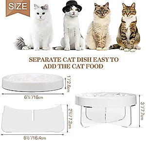 MSBC Raised Cat Slow Feeder Bowl with Acrylic Stand, Elevated Melamine Slow Feed Cat Dish, Non-Slip Pet Puzzle Feeder for Slow Healthy Eating, Anti-Choking Prevents Obesity Pet Bowl for Kitty, Kitten