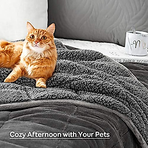 Sivio Weighted Blanket for Adult, 15 lbs Sherpa Heavy Blanket with Soft Flannel Reversible, Queen Size, Extra Warm Cozy Fluffy Weighted Blanket, 60x80 Inches Dual Sided Grey