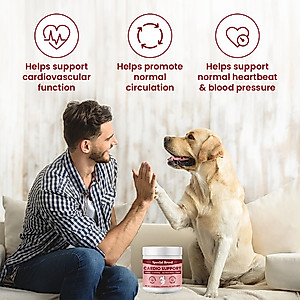 Special Breed Cardio Support for Dogs - Heart Health Support with Taurine, CoQ10, Organic Hawthorne Berry, Powder Supplement, 120 Scoops, 3.14 oz