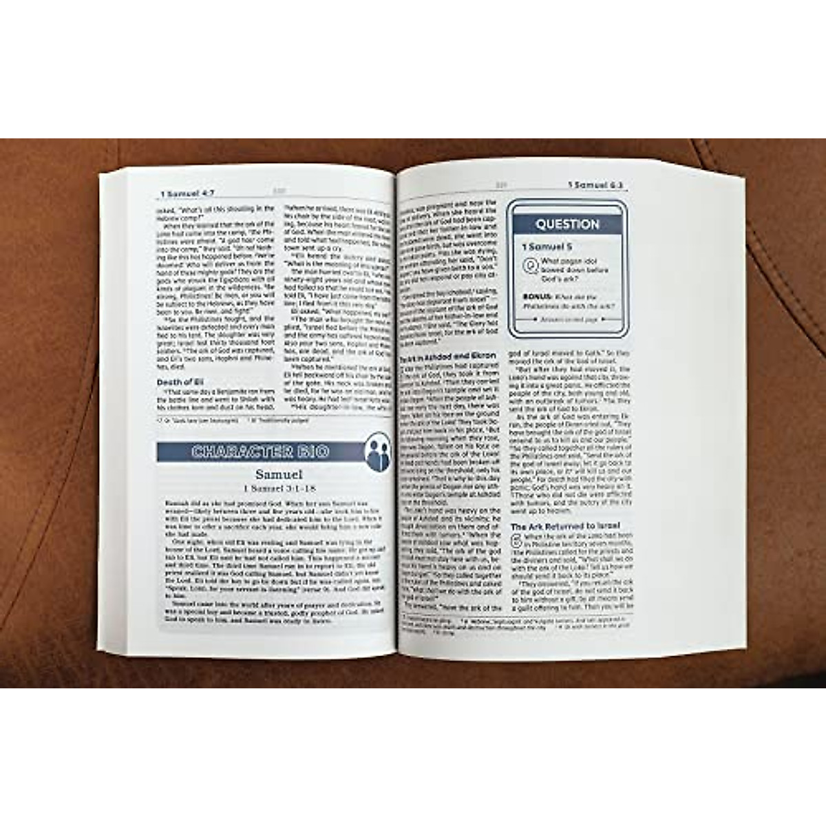 NIV, Teen Study Bible (For Life Issues You Face Every Day), Paperback, Comfort Print