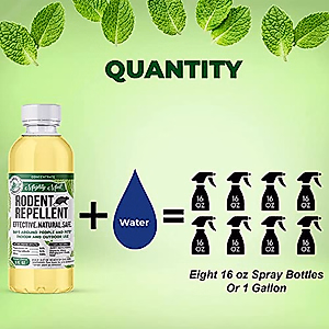 Mighty Mint 8 oz Peppermint Rodent Repellent Concentrate - Makes 1 Gallon - Natural Spray for Rats, Mice, and More