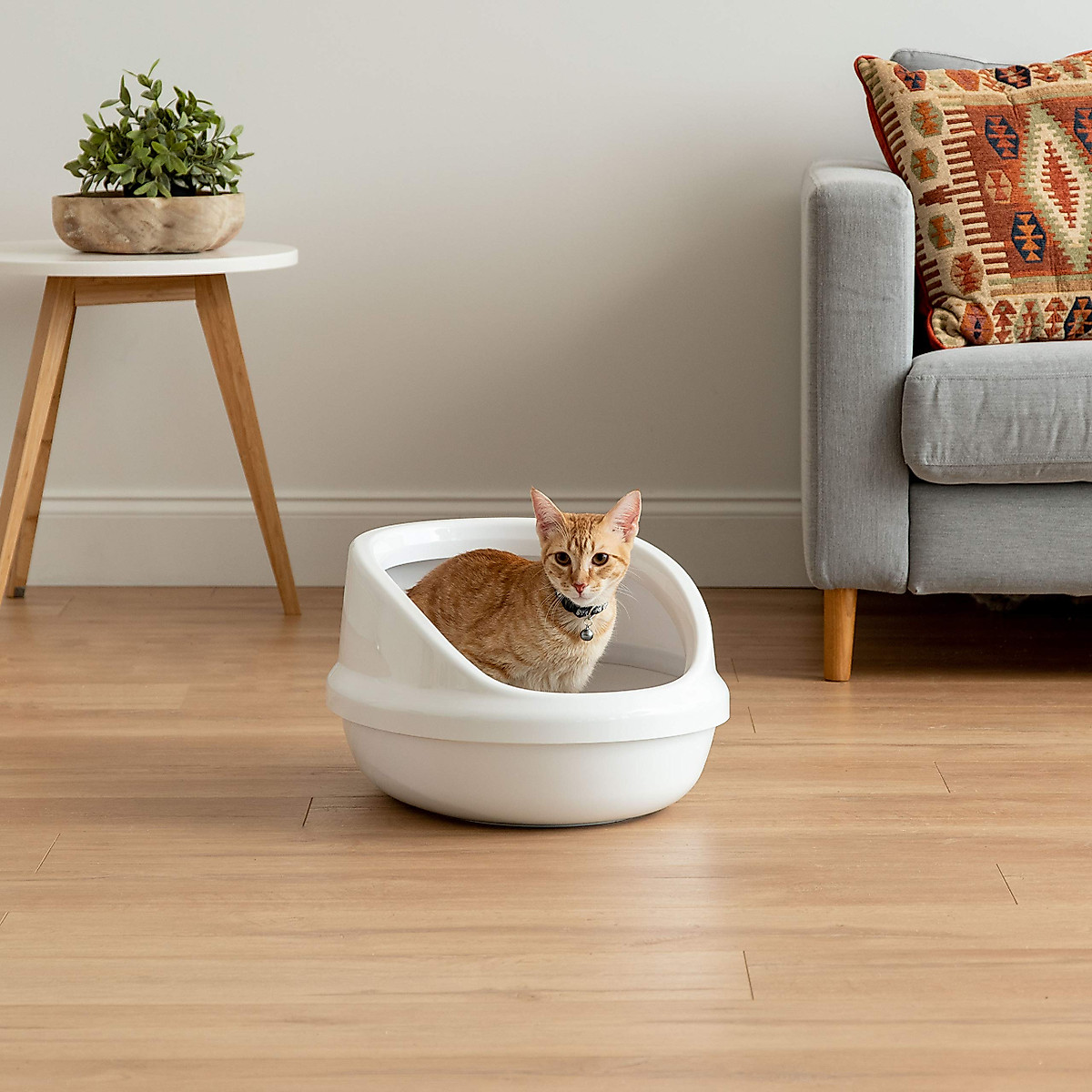IRIS USA Large Cat Litter Box with Scoop, Open Top High Sided Kitty Litter Pan with Scatter Shield, White