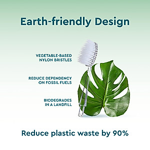 RADIUS Toothbrush Replacement Brush Heads 2-Count Improve Gum Health & Reduce Gum Issues - Super Soft - Pack of 6