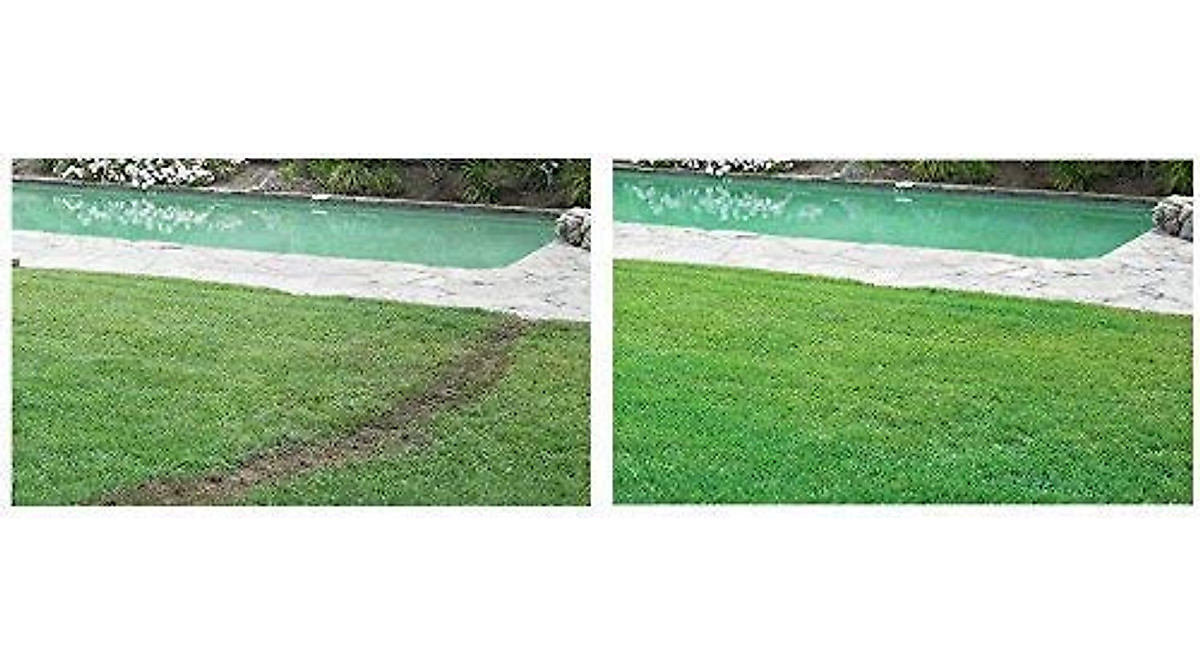 Hydro Mousse Liquid Lawn - Bermuda Grass Seed - Made in USA - Seed Like ...
