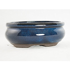 Oval Mame Shohin Bonsai/Cactus & Succulent Pot + Mesh 5"x 4"x 2" - Dark Blue Glazed