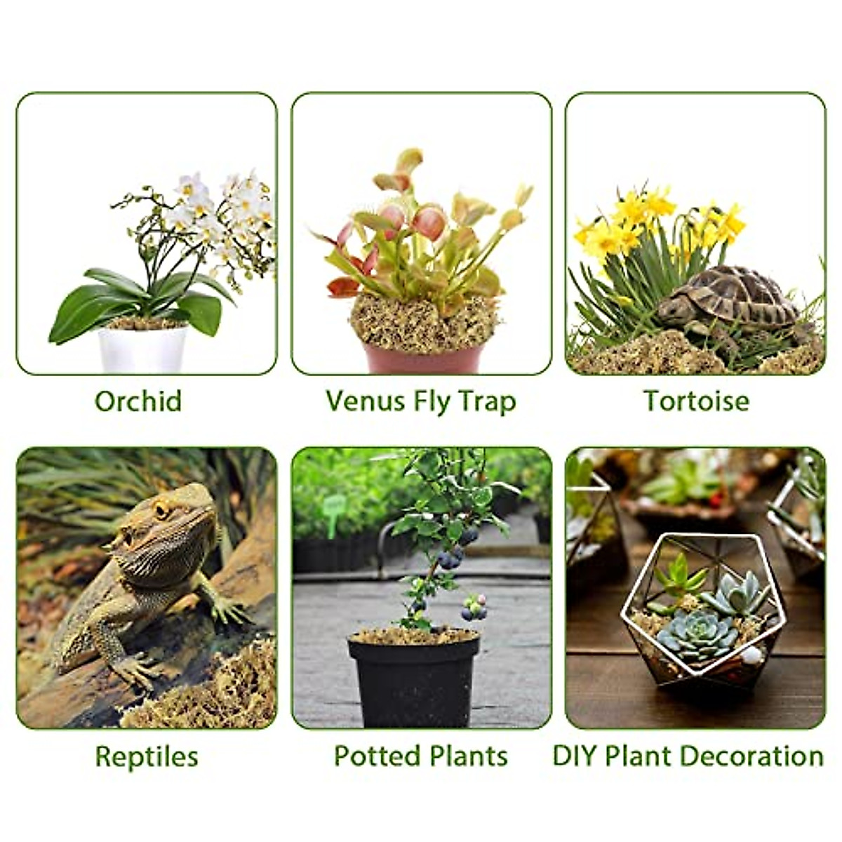 25QT Sphagnum Moss Orchid Moss for Potted Plants, Sphagnum Moss for Orchids, Dried Orchid Peat Moss for Plant Reptile Moss Orchid Soil