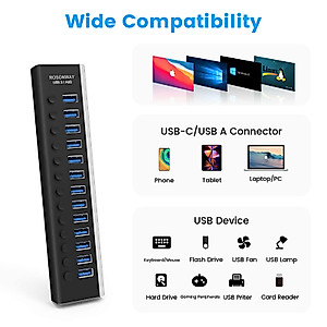 Powered USB Hub Rosonway Aluminum 13 Port USB 3.1/3.2 Gen 2 Hub 10Gbps with 72W (12V/6A) Power Adapter and Individual Switches, Type A and Type C Cables, USB C Hub Expander for PC and Laptop, RSH-A13