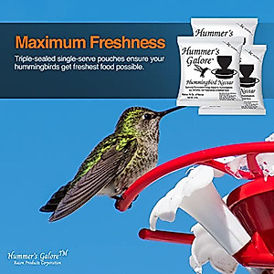 Hummer's Galore Hummingbird Food - Ready-to-Mix Hummingbird Nectar, All-Natural Nectar Collector Formula, 4 Packets, Makes 64 Ounces, No Preservatives or Dyes
