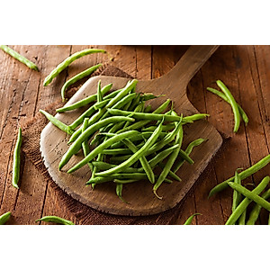 50 Green Bean Seeds for Planting - Provider - Bush Bean - Heirloom Non-GMO Vegetable Seeds for Planting