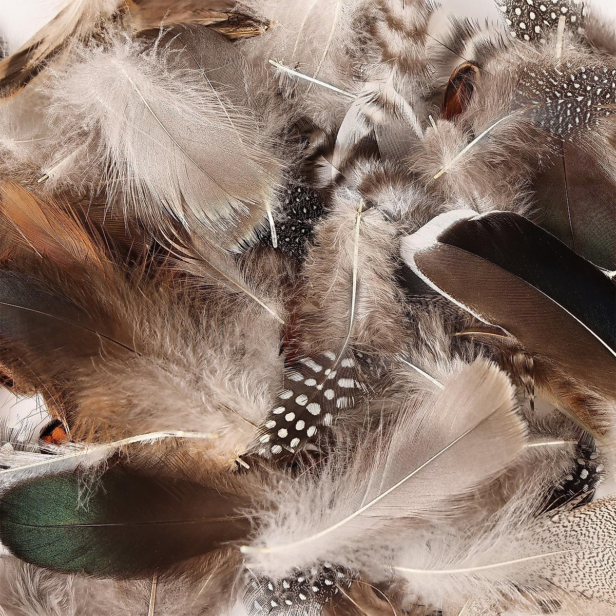 FeelfunFeather 300 pcs Small Feathers - 10 Style Mixed Spotted Decorative Natual Pheasant Feather for DIY Crafts Clothing Jewelry Hair Decoration