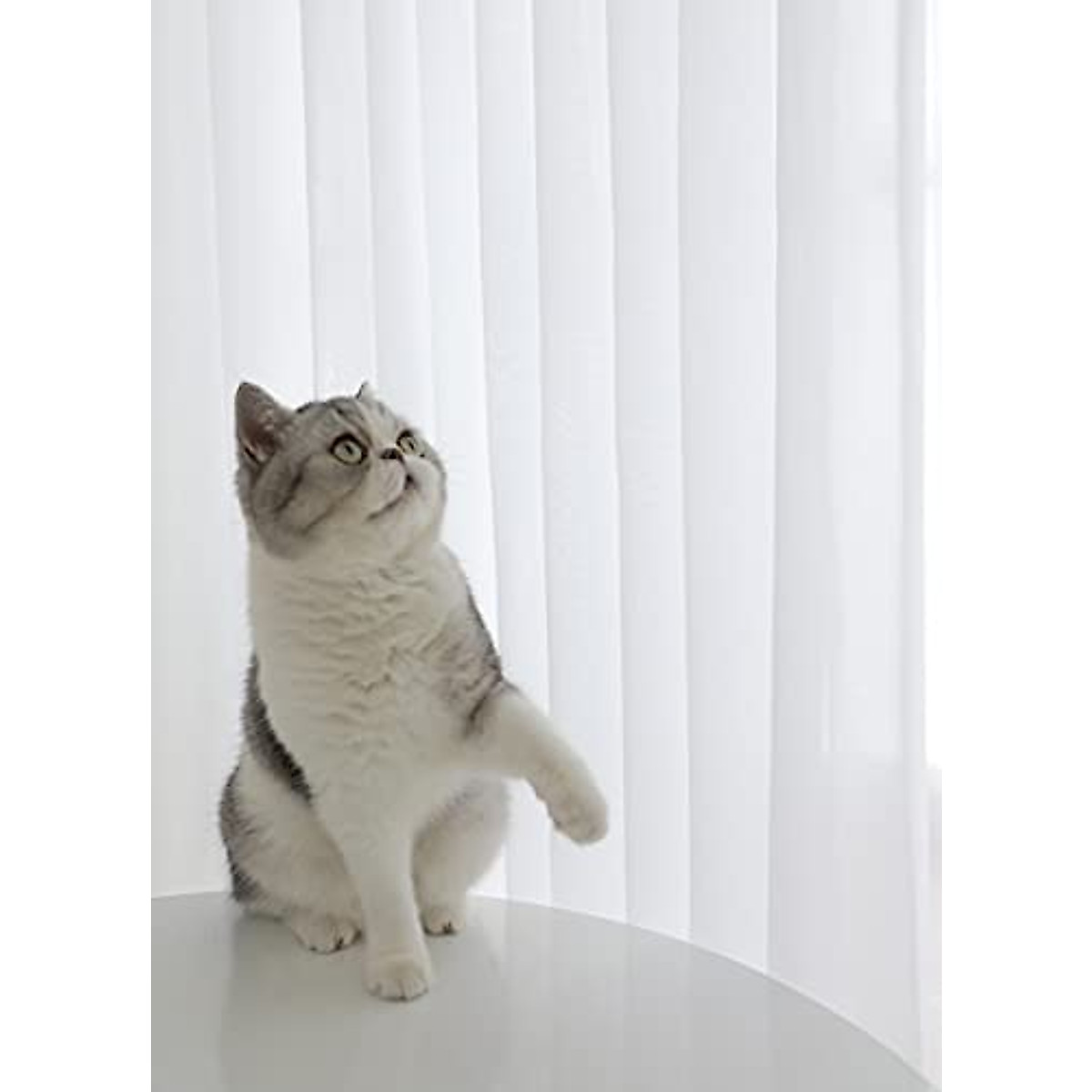 Sheer White Curtains 84 Inches Long Window White Sheer Curtain 2 Panels Sheer Curtains 15 Colors Clear White Beige Grey Purple Pink Size 63 72 95 108 145 Long Inch Bedroom Children Living Room Yard