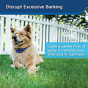 PetSafe Elite Little Dog Spray Bark Collar for Small Dogs from 8 lbs to 55 lbs - Smallest Collar Option - Citronella Spray - No Barking Control Device - PBC00-11283