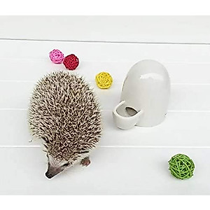 Dahey Drinking Water Feeder Ceramics Slient Bottle Waterer Automatic Small Pets for Hamster Hedgehog Chinchilla Ferret Small Guinea Pig, White, 8Oz