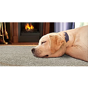 COTTON CRAFT Pure Wool Fireplace Rug - Half Moon Hearth Area Rug Carpet - Fire Resistant Hand-Tufted Fireplace Mat - Entryway Cabin Kitchen Anti Fatigue Half Round Accent Rug - 22 X 44 - Natural Tan