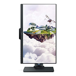 BenQ PD2500Q 25 inch QHD 1440p IPS Monitor | 100% sRGB |AQCOLOR Technology for Accurate Reproduction for Professionals (Renewed)