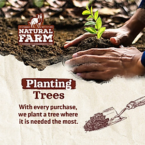 Natural Farm Odor-Free Thick Bully Sticks (6”, 18-pack) ALL-NATURAL Long-Lasting Dog Chews, 100% Beef Pizzle, Grass-Fed, Grain-Free, Protein for Muscle Development & Energy, Perfect For Medium Chewers