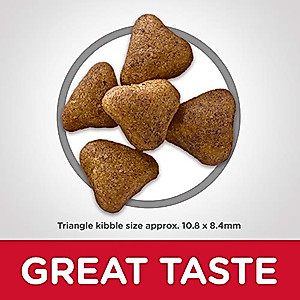 Hill's Science Diet Dry Cat Food, Adult 7+ for Senior Cats, Indoor, Chicken Recipe, 15.5 lb. Bag