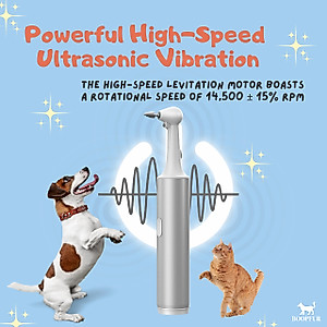 Generic Multifunctional Pet Electric Tooth Cleaning Tool for Dogs and Cats, 1 Count (Pack of 1), Silver