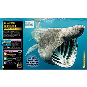 Super Shark Encyclopedia: And Other Creatures of the Deep (DK Super Nature Encyclopedias)