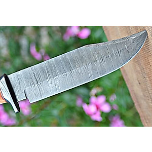 UK UNIQUE SHARP KNIVES BK-3004 Handmade Damascus Steel 12.00 Inches Damascus Steel Hunting Knife - Coloured Camel Bone Brass Spicer Handle With Damascus Gurd/pommel