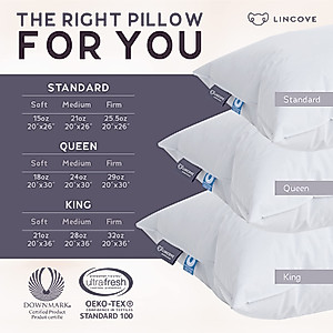 Lincove Signature 100% Natural Canadian White Down Luxury Sleeping Pillow - 800 Fill Power, 500 Thread Count Cotton Shell, Made in Canada, King - Firm, 1 Pack
