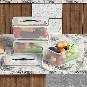 Knifefish 4 Pack Airtight Clear Plastic Food Storage Containers, 15 Quart Plastic Box with Sealed Lid