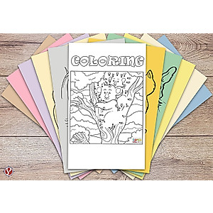 Pastel Green Menu Legal Size 8.5 x 14 Inches 67 Vellum Bristol Lightweight Card Stock Paper Cover | 1 Ream of 250 Sheets Per Pack