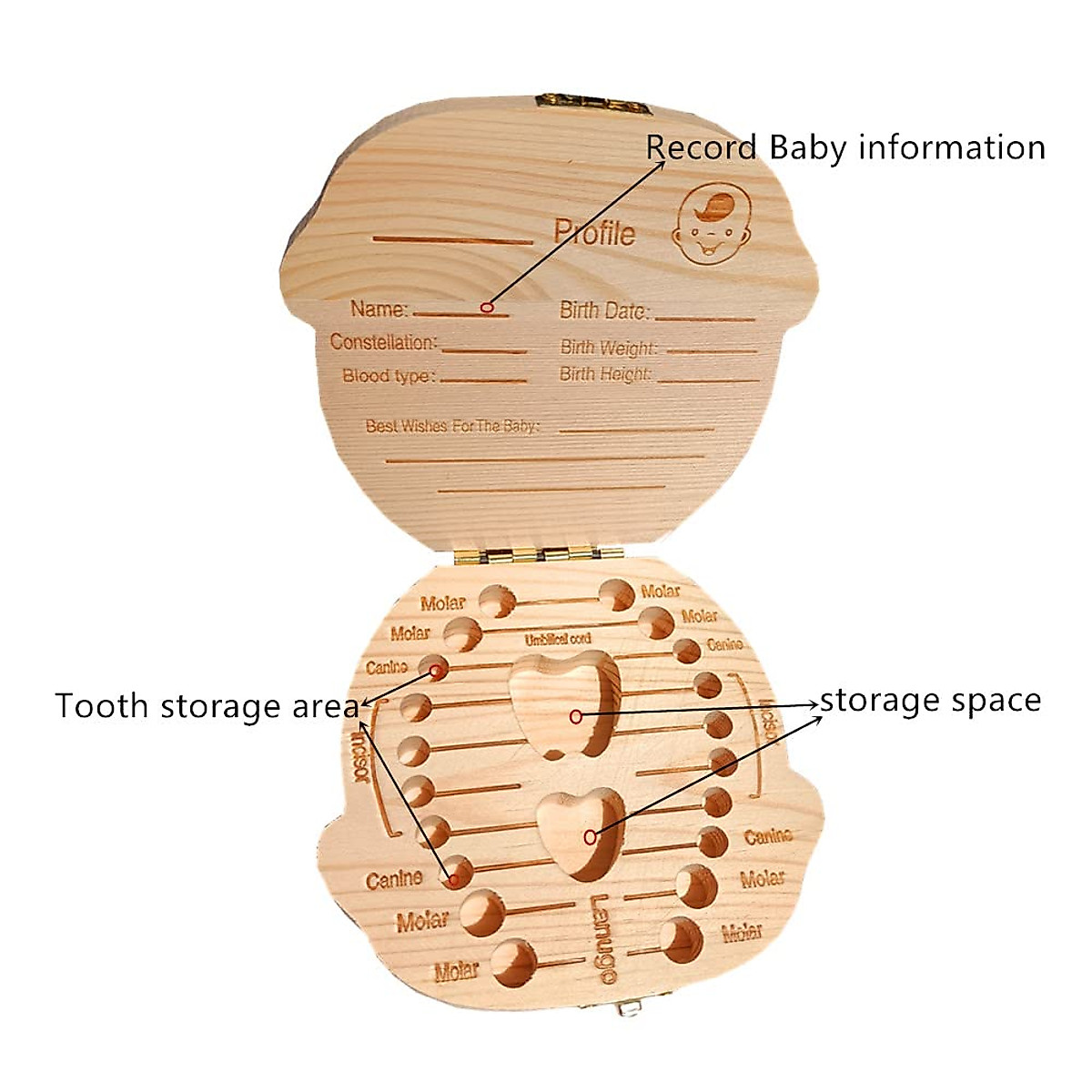 Baby Tooth Keepsake Box,Tooth Fairy Box,Wooden Tooth Box ,Baby Keepsake Storage Box,Tooth Saver,Tooth Holder for Kids Teeth,Tooth Boxes for Lost Teeth for Kids,Newborn Baby Birthday and Shower Gift