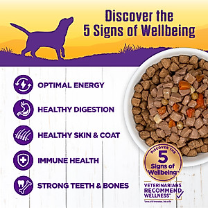 Wellness Complete Health Thick & Chunky Natural Grain Free Canned Wet Dog Food, Beef Stew, 12.5-Ounce Can (Pack of 12)