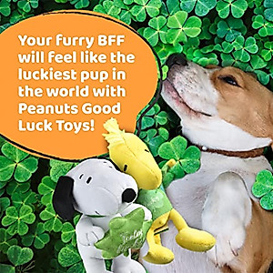 Peanuts for Pets Snoopy & Woodstock Feeling Lucky St Patrick’s Day Squeaky Pet Toy 2 Pieces Peanuts Dog Toys FF20325 Snoopy Leprechaun 9 Inch - 1 Pack