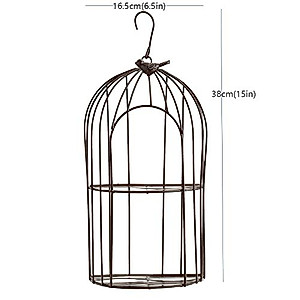 TJ Global 2-Plant Iron Birdcage Hanging Planter, Metal Wire Flower Pot Basket Wrought Iron Plant Stands for Plants, Flowers, Garden, Patio, Balcony Outdoor and Indoor Décor
