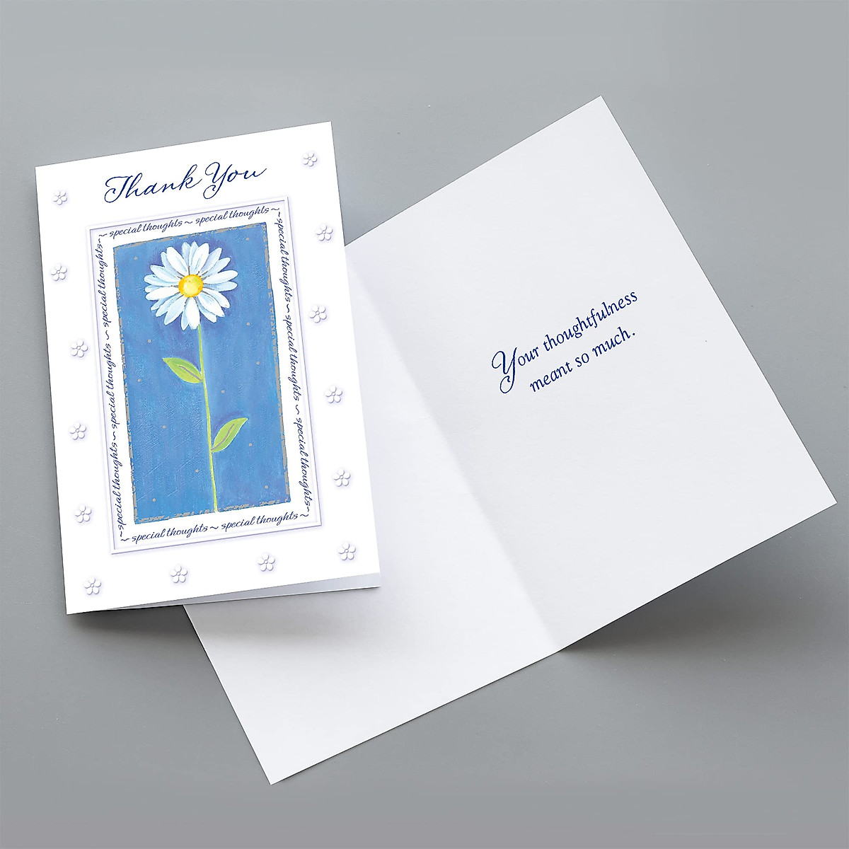 Designer Greetings Thank You Cards, Special Thoughts Meant So Much Message for Any Occasion (8 Daisy Thank-You Notes and Envelopes)