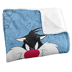 Looney Tunes Blanket, 50"x60", Sylvester Character Silky Touch Super Soft Throw