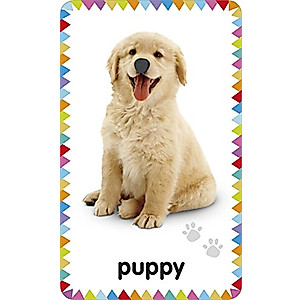 My First Touch and Feel Picture Cards: Animals (My First Board Books)