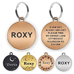 Dog Tags Engraved for Pets Personalized Dog Name Tags Dog ID Tags Small Cat Tags Large Dog Collar Tags Custom Text Stainless Steel Engraved on Both Sides(S Champagne Gold)